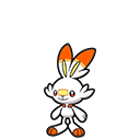 Scorbunny - Pokémon - PokéPC