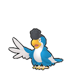 Squawkabilly - Pokémon Info, Stats, and where to find it - PokéPC - PokéPC
