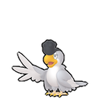 Squawkabilly - Pokémon Info, Stats, and where to find it - PokéPC - PokéPC